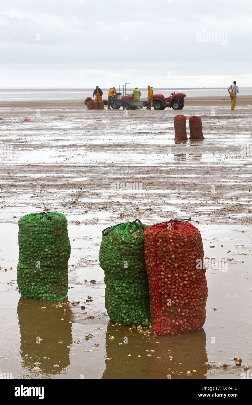 Earn miles hi-res stock photography and images - Alamy