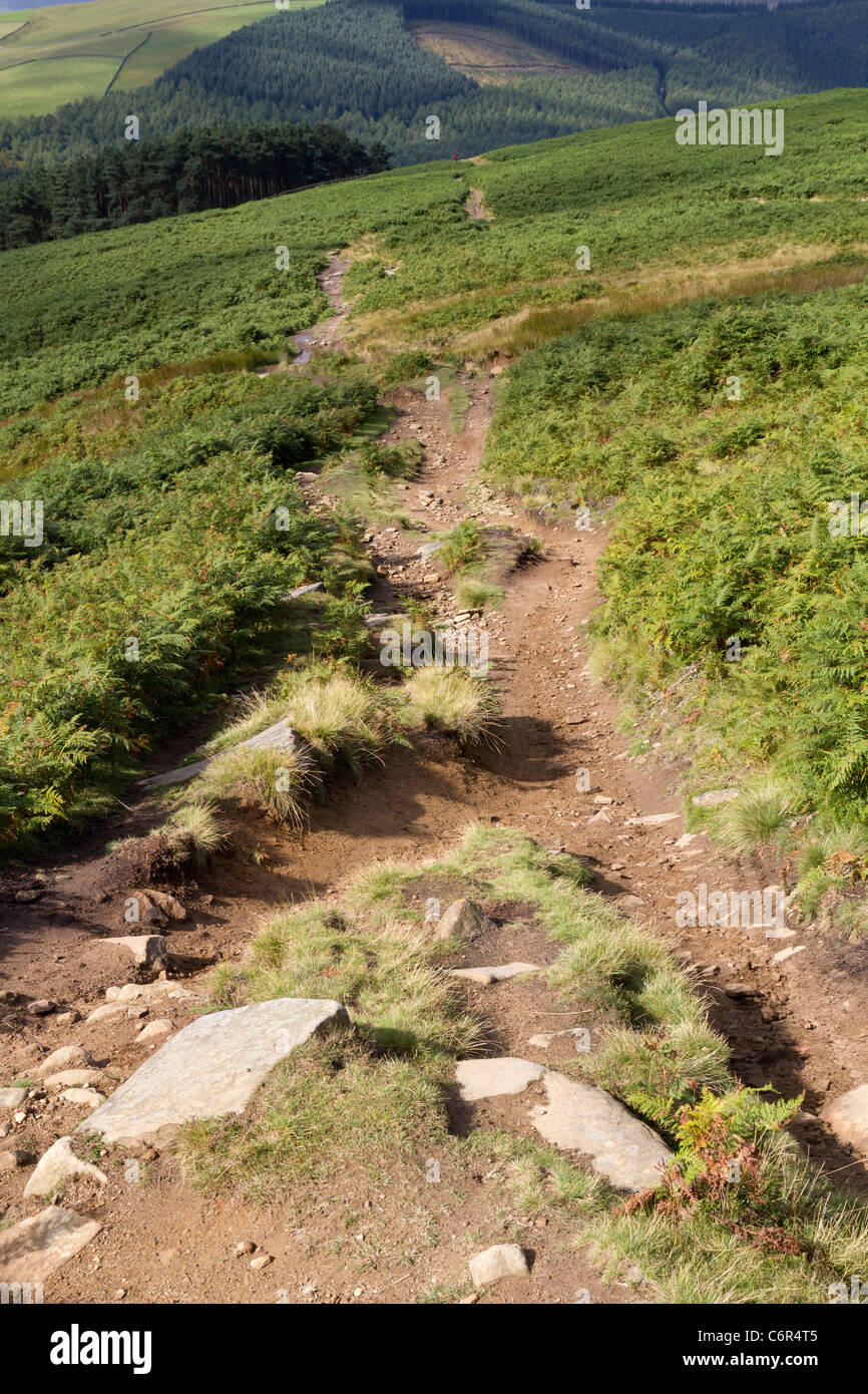 Public footpath erosion due to heavy mountain bike use Stock Photo - Alamy