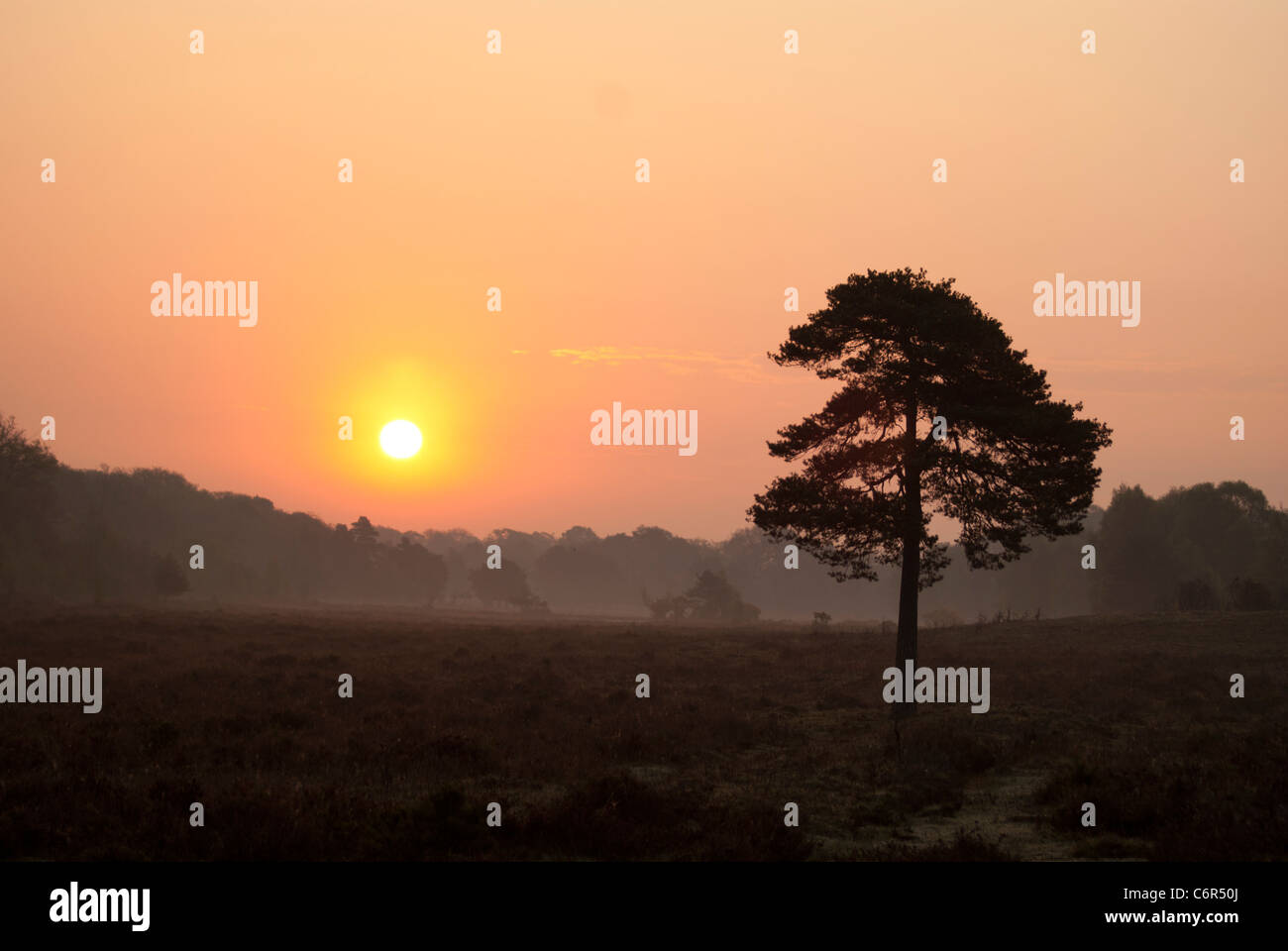 New hampshire sunrise hi-res stock photography and images - Alamy