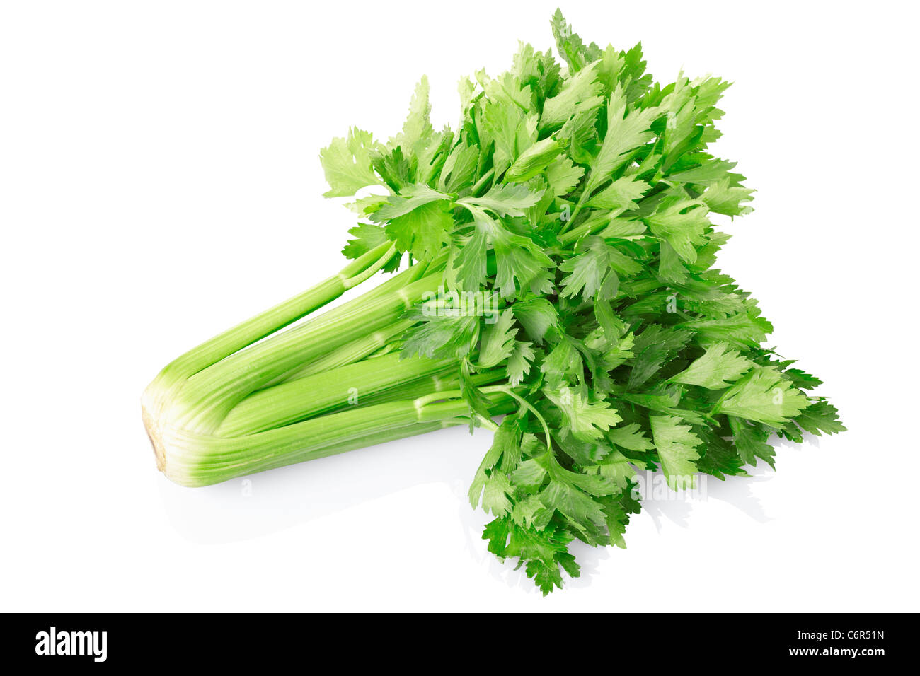 Single celery stick hi-res stock photography and images - Alamy