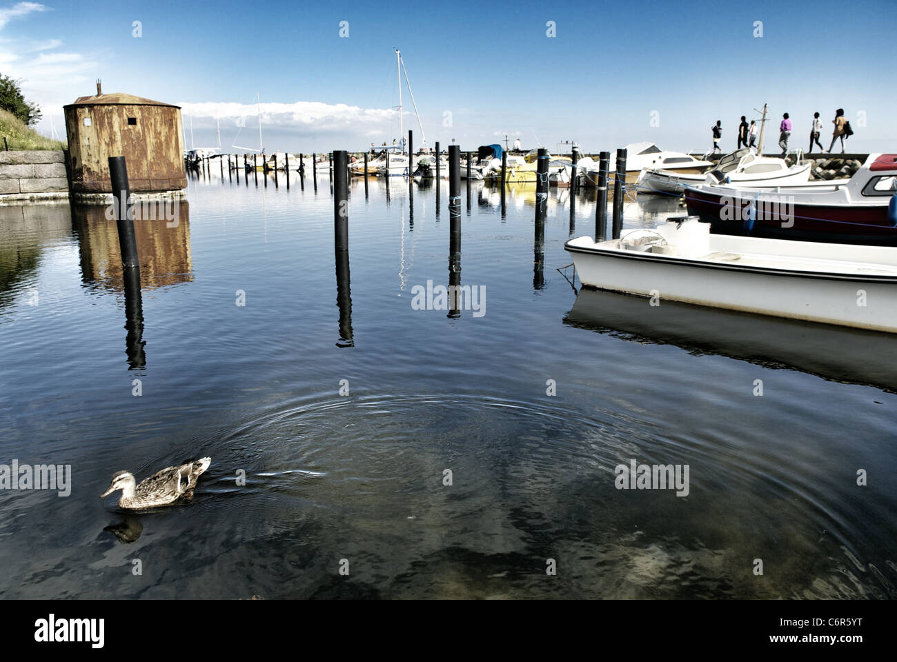 Copenhagen harbour swimming hi-res stock photography and images - Alamy