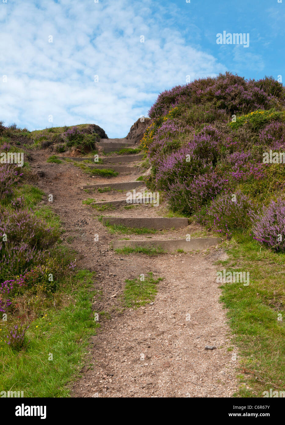 Path pathway leading upwards hi-res stock photography and images - Alamy