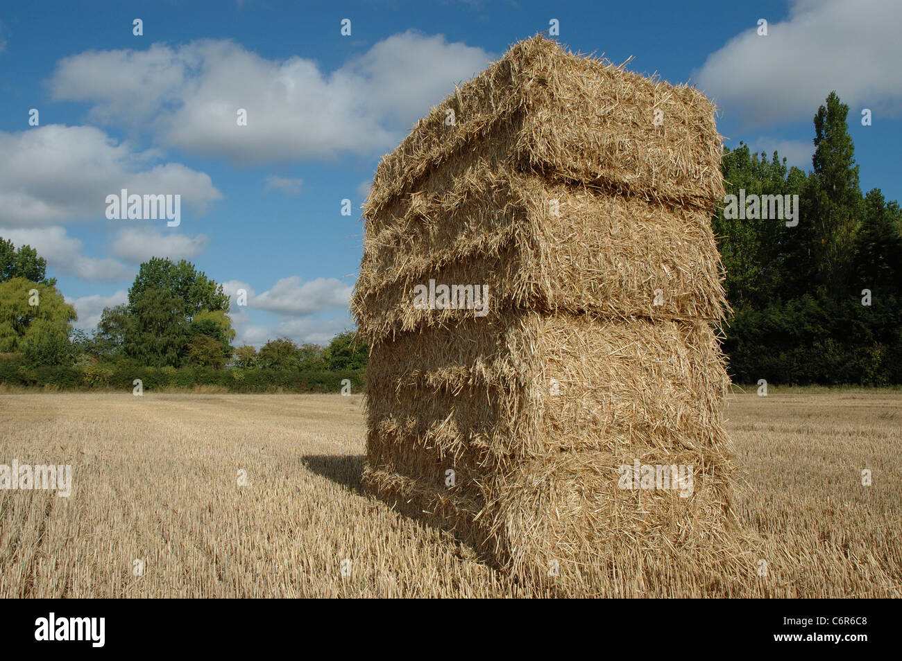 Haystack in a field Stock Photo - Alamy