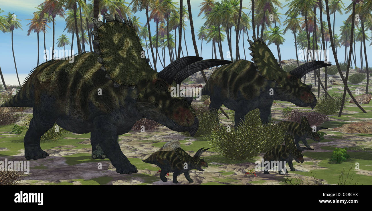 Baby dinosaur fossil hi-res stock photography and images - Alamy