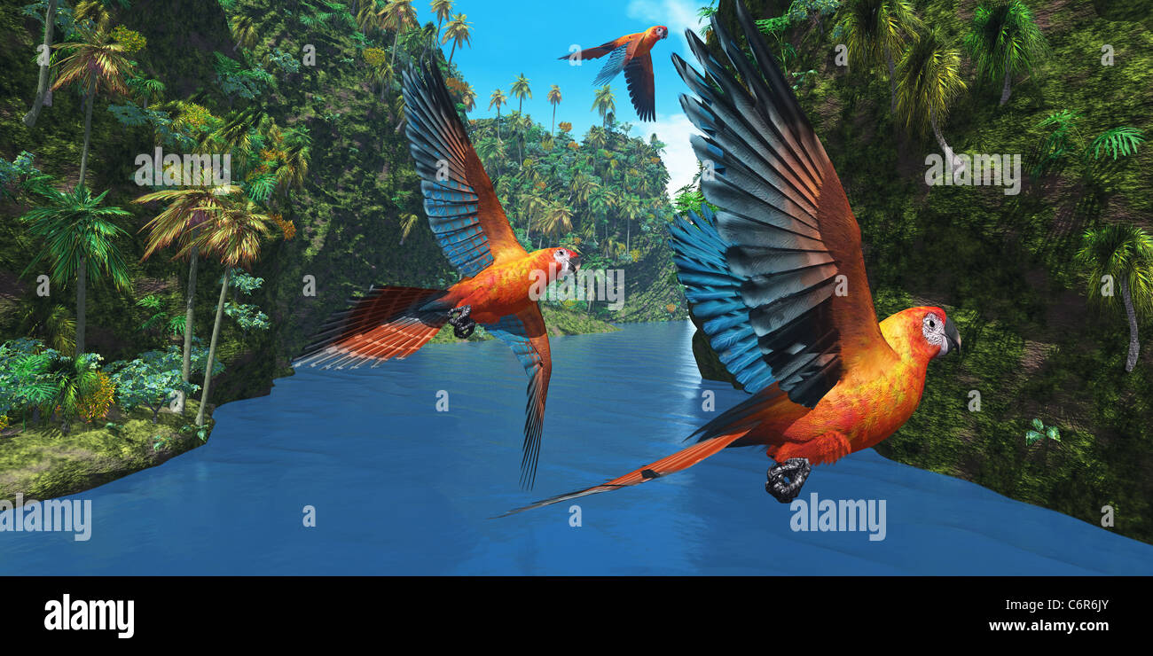 Jungle fly hi-res stock photography and images - Alamy