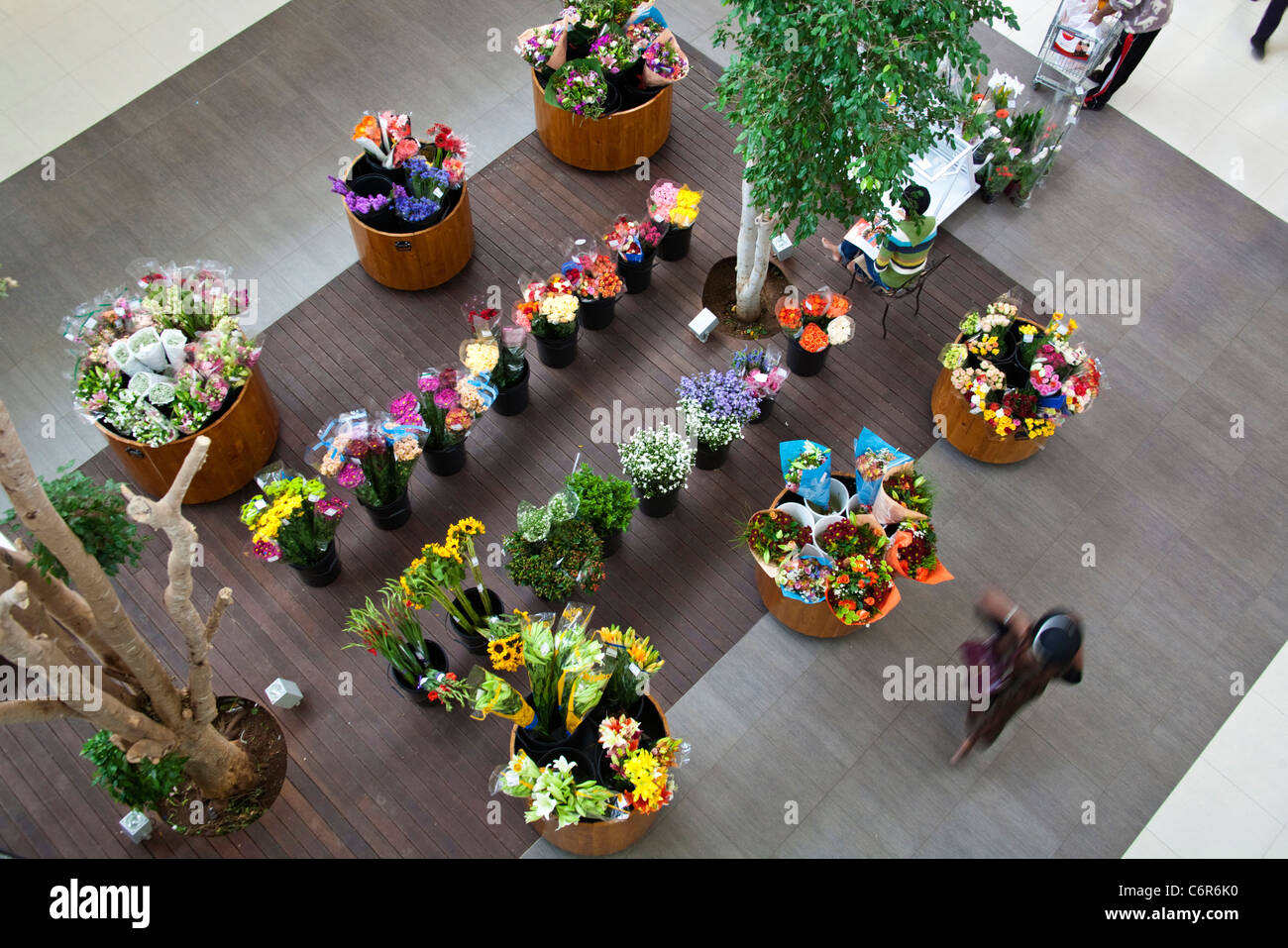 Overhead view of a cut flower stall in a Morningside, Sandton Shopping ...