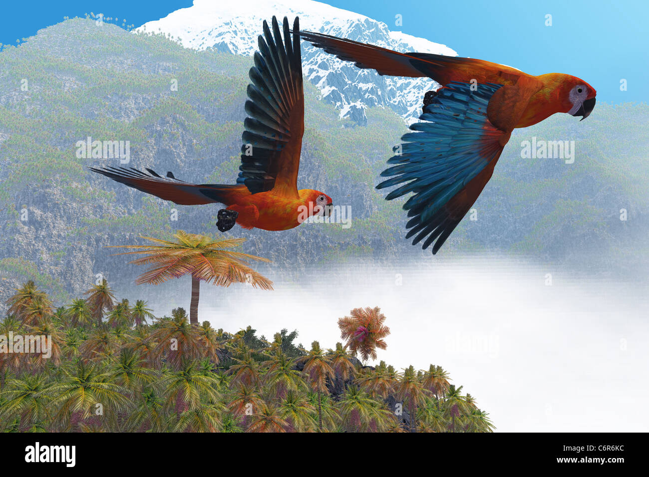 Two beautiful parrots fly together in their jungle paradise Stock Photo ...