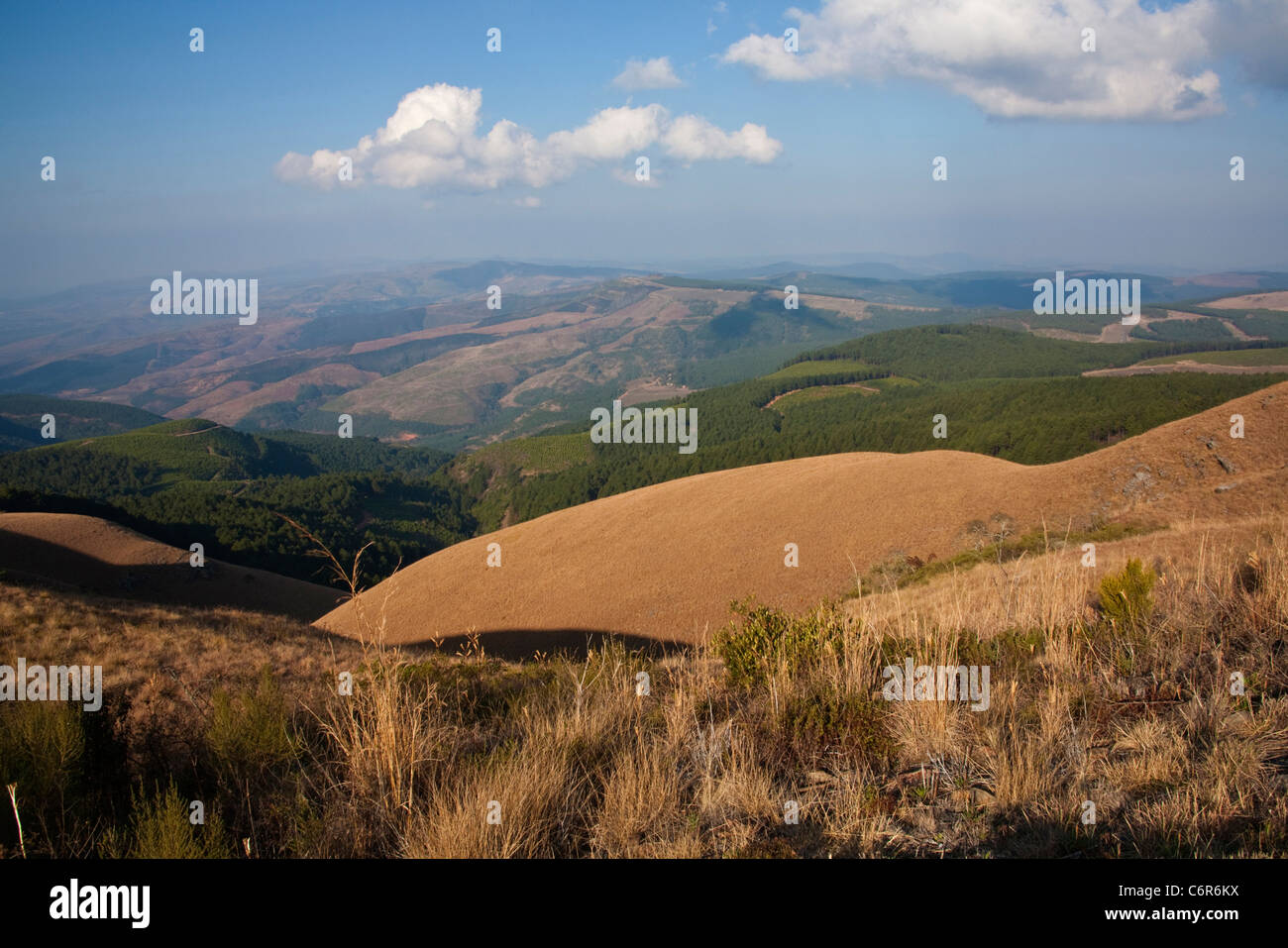 Scenic view of the landscape from Long Tom pass showing rolling ...