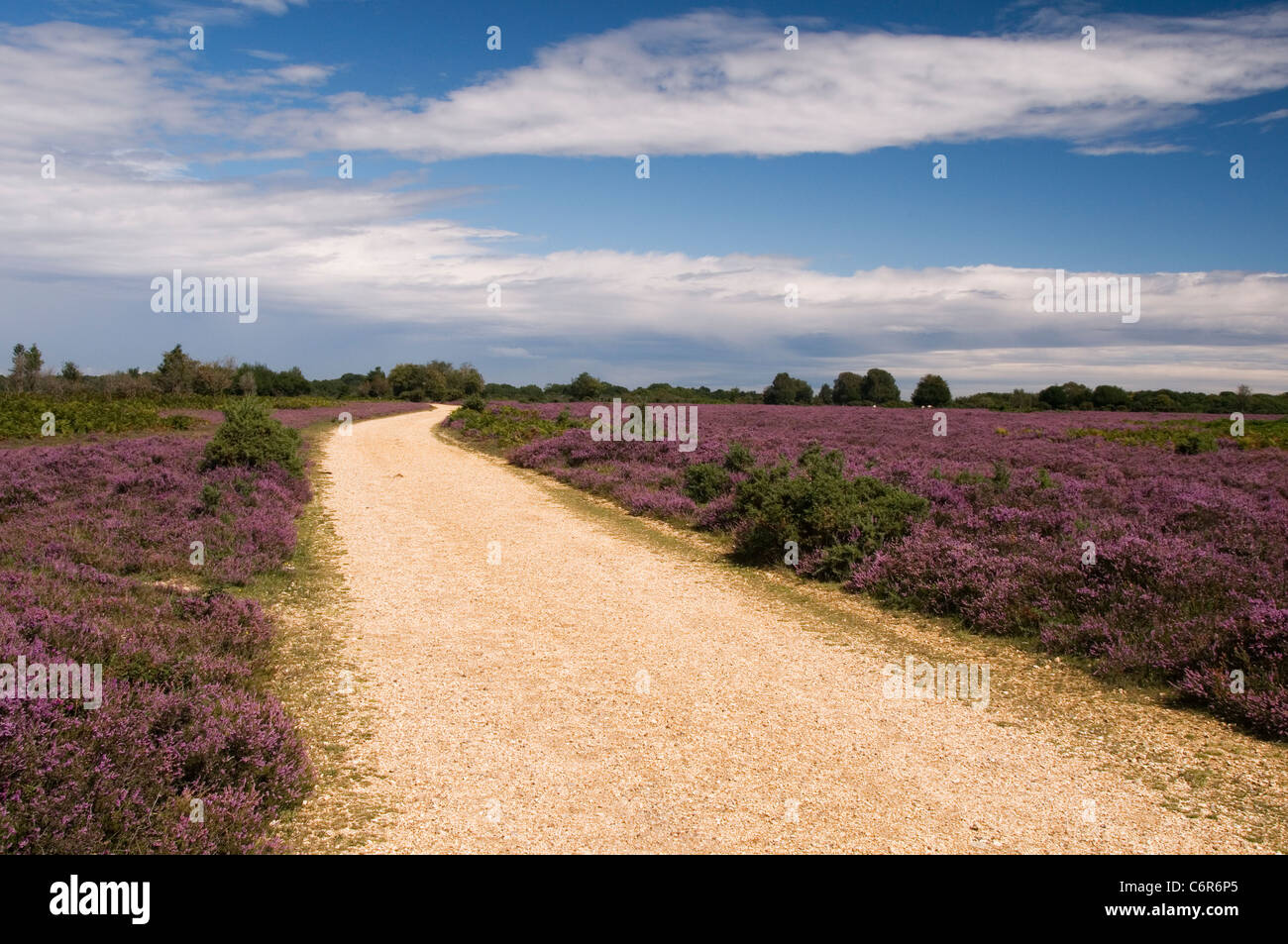 Gravel path through the heather hi-res stock photography and images - Alamy