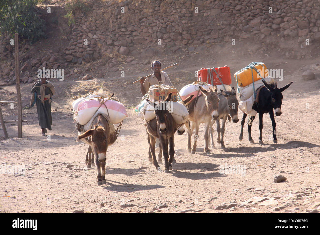 Donkey Carrying