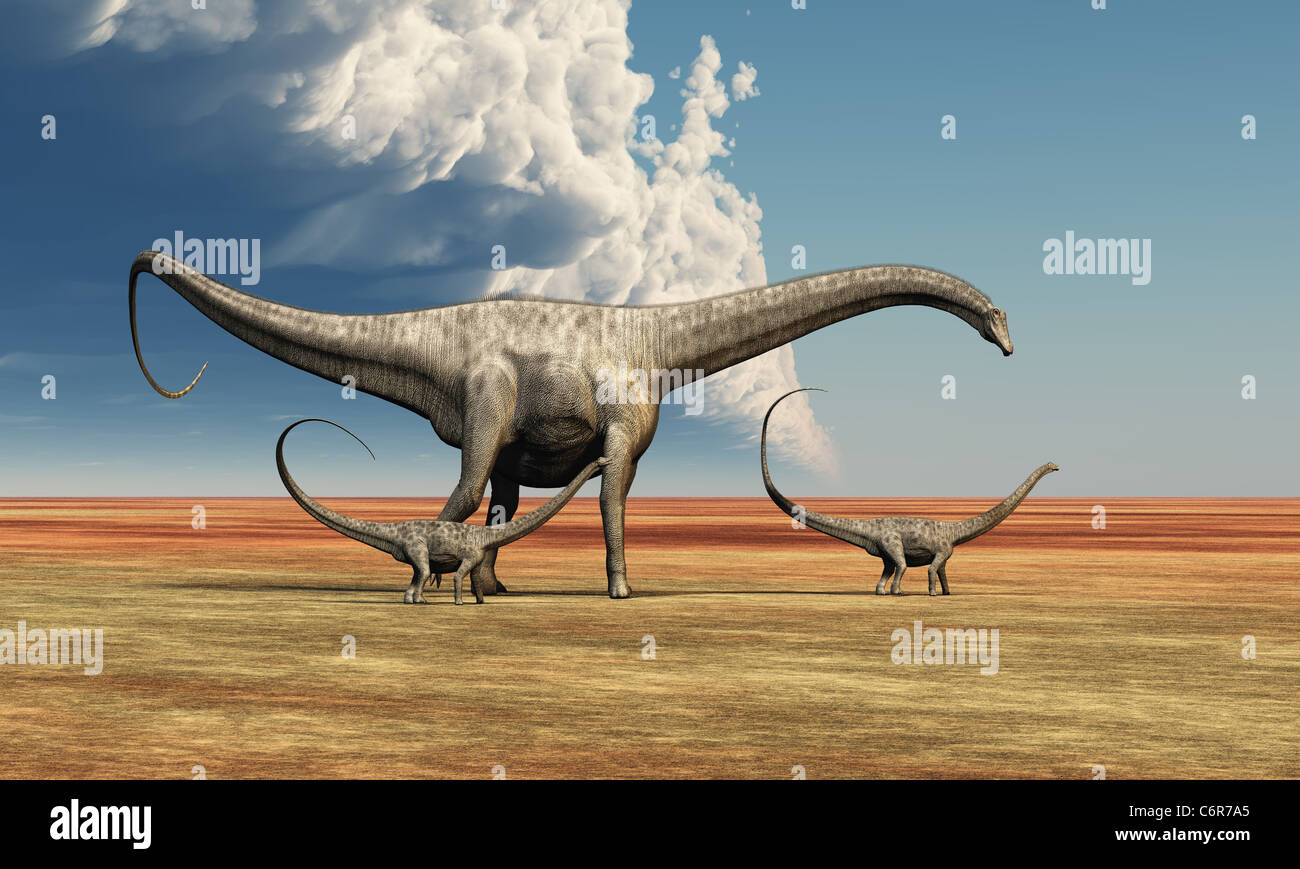 Diplodocus fossil hi-res stock photography and images - Alamy