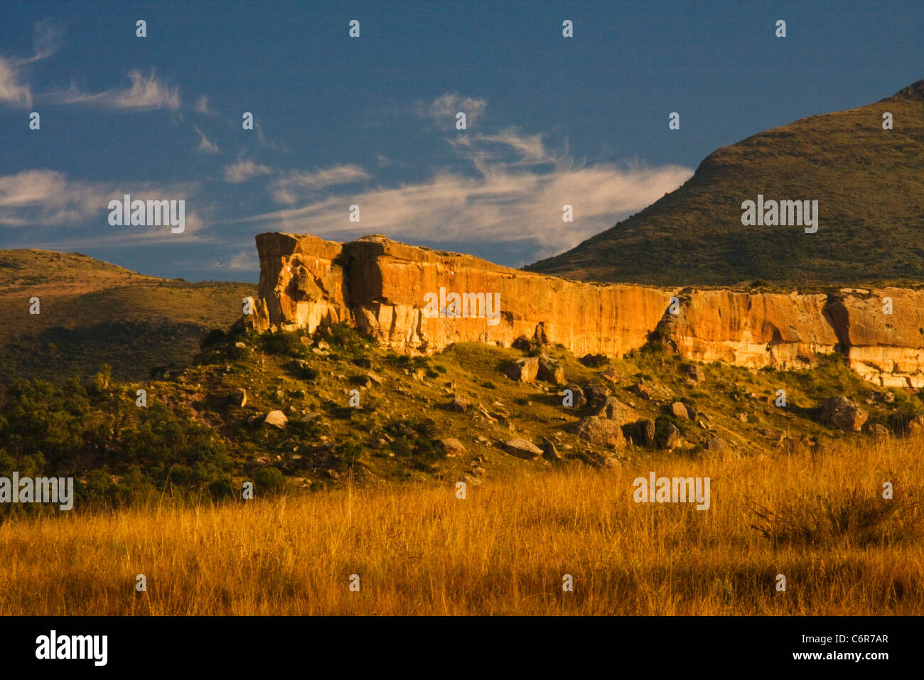 Freestate hi-res stock photography and images - Alamy