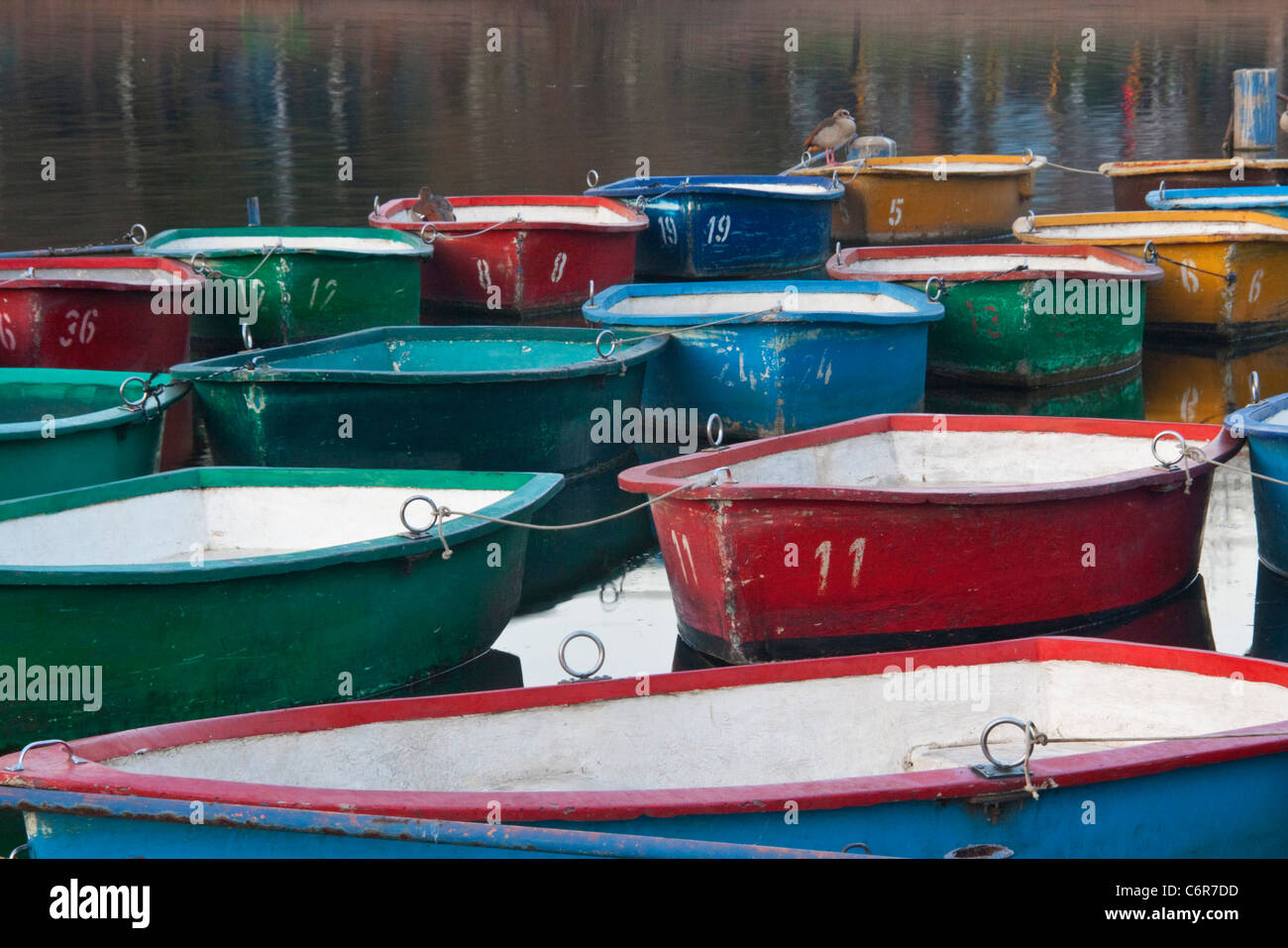 Colourful boats tied up together on a lake Stock Photo - Alamy