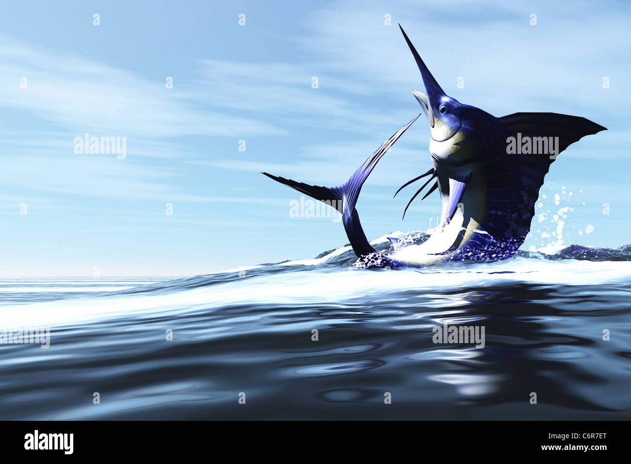 A Blue Marlin jumps through the ocean surface in a spray of water Stock ...