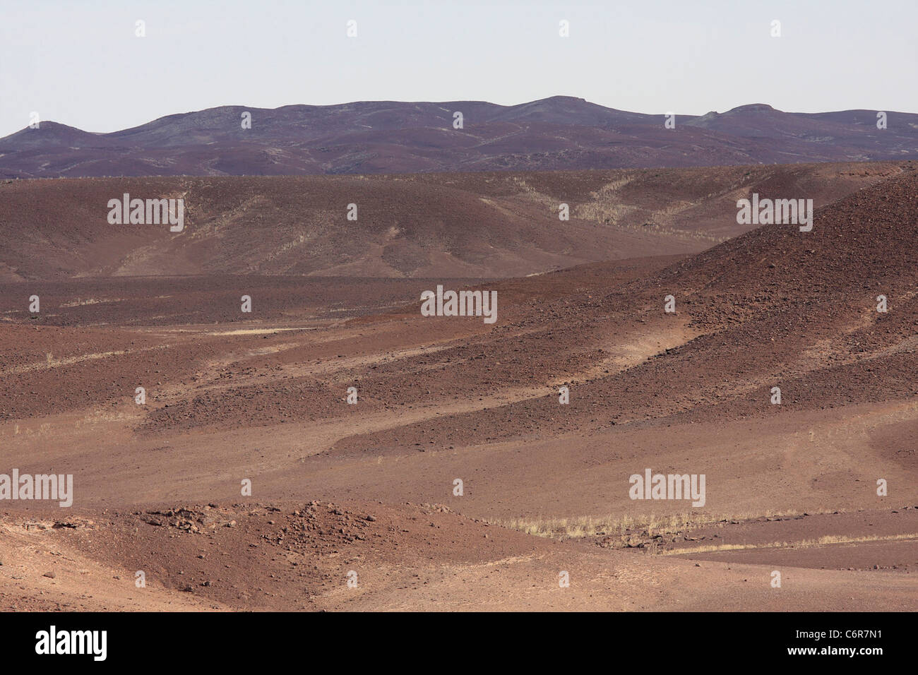 Desert biome hi-res stock photography and images - Alamy