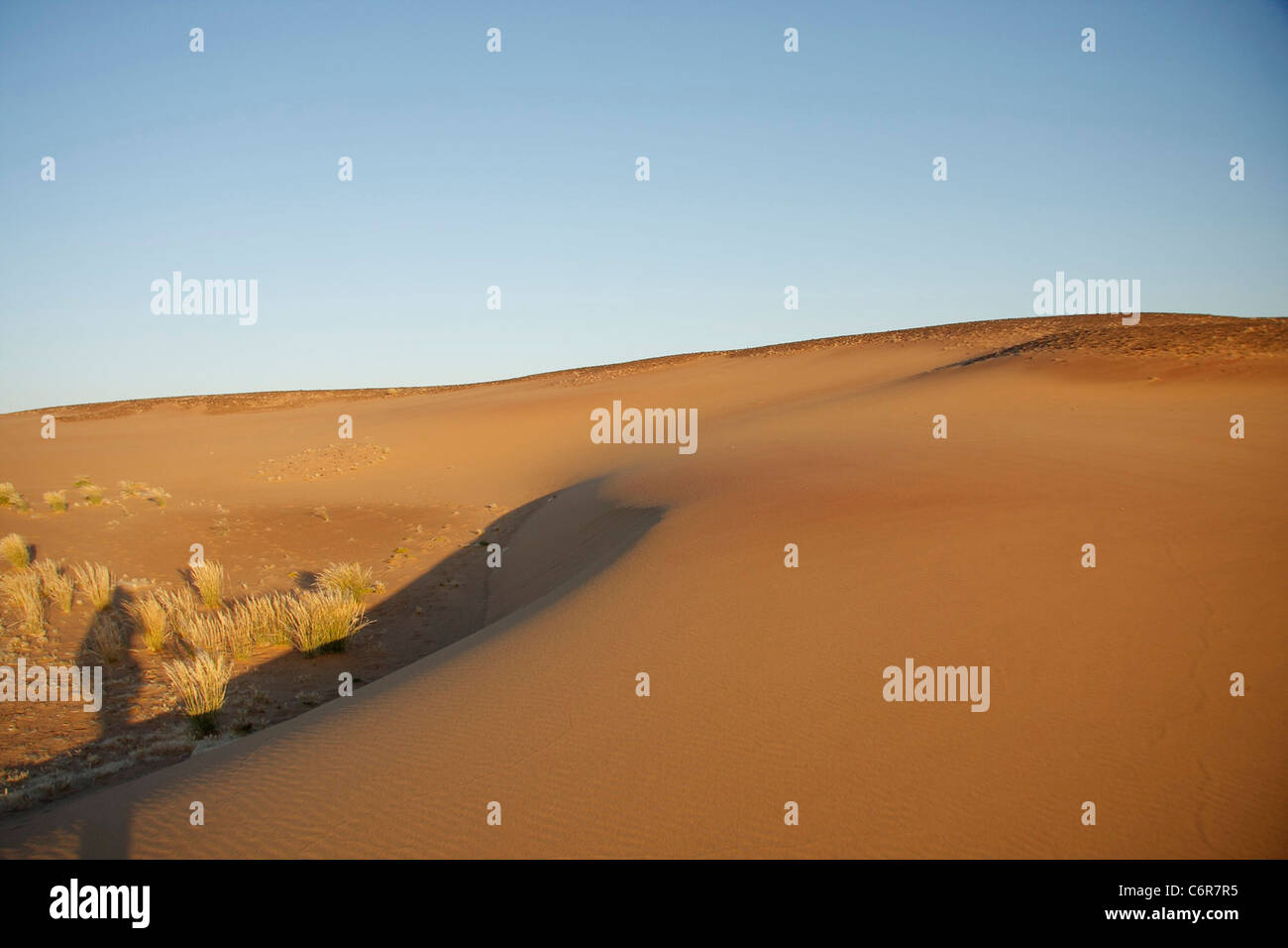 Harsh desert landscape hi-res stock photography and images - Alamy