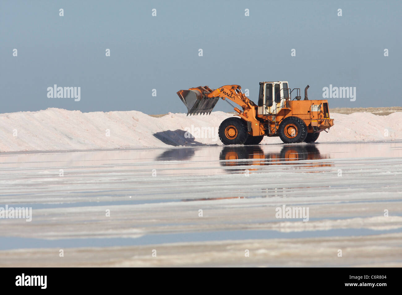 Front end loader loading salt in salt pan Stock Photo - Alamy