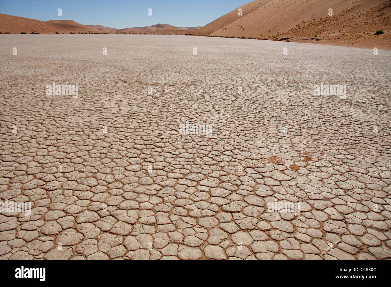 Dry pan surface Stock Photo - Alamy