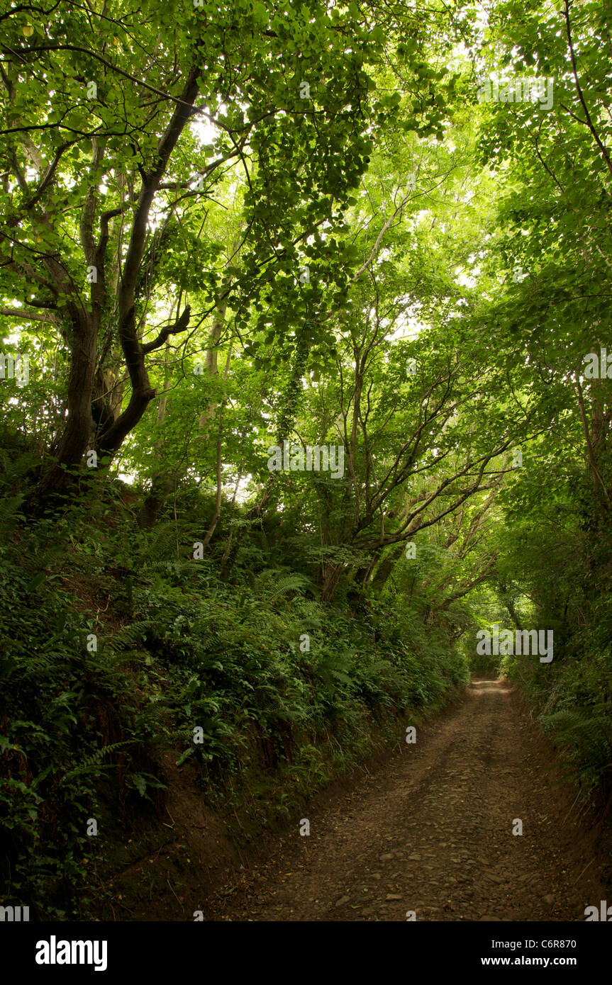 Holloway path uk hi-res stock photography and images - Alamy