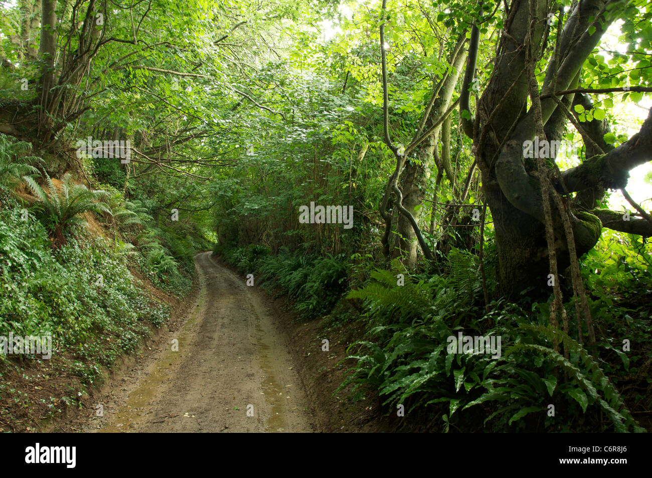 Holloway path uk hi-res stock photography and images - Alamy