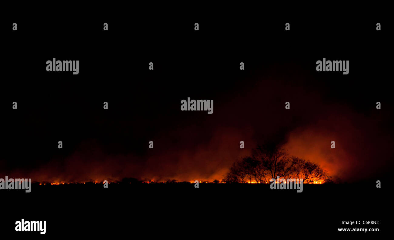 Veld fire hi-res stock photography and images - Alamy