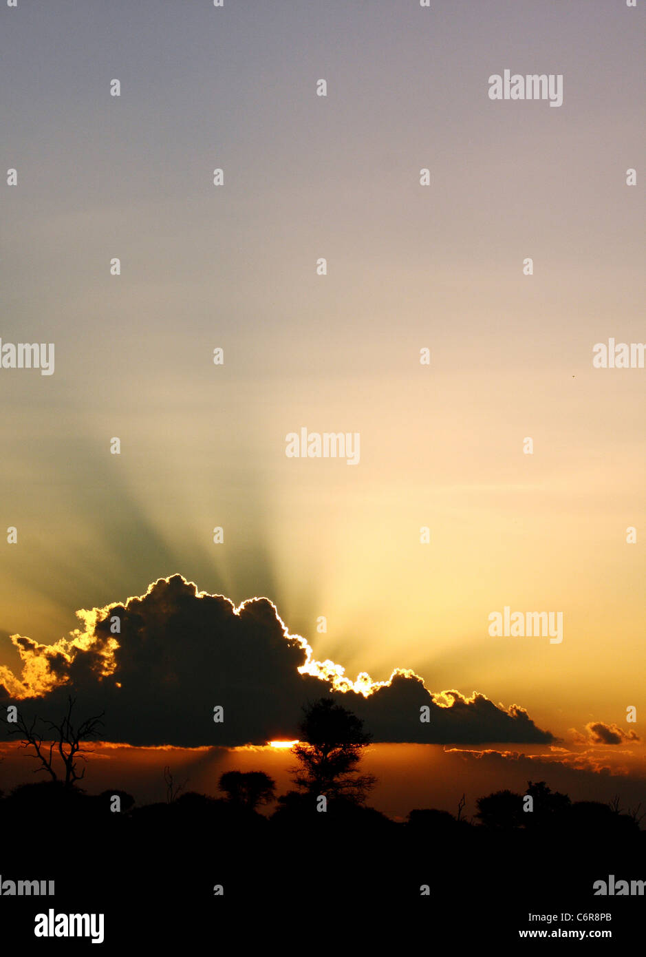 Bushveld sunset with illuminated cloud in front of the sun Stock Photo ...