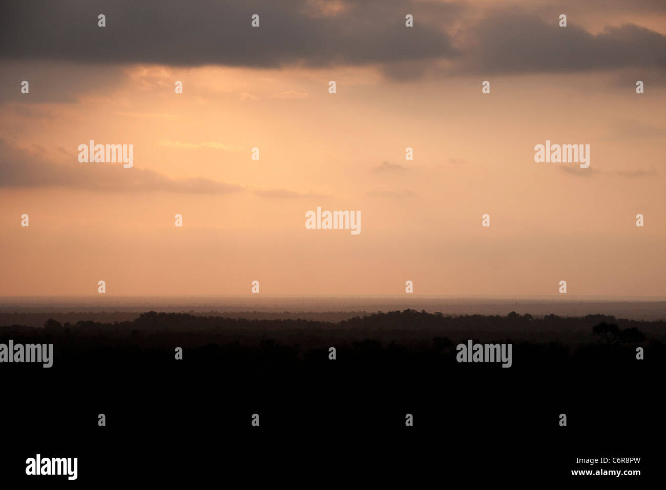 Africa moody landscape bushveld hi-res stock photography and images - Alamy