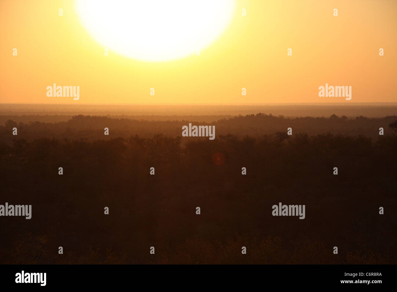 Bushveld sunset with setting sun huge in the sky Stock Photo - Alamy