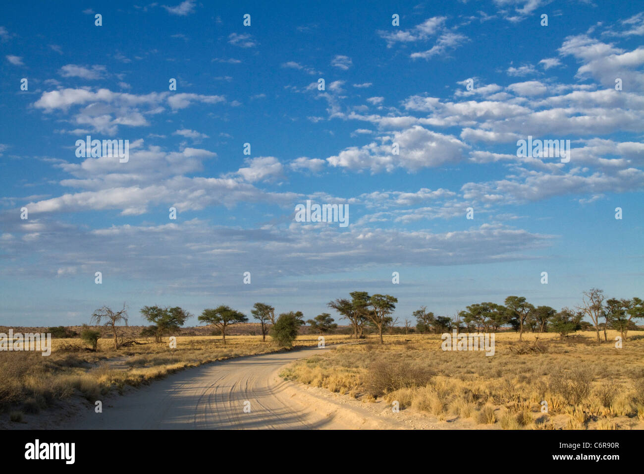 Disappearing road hi-res stock photography and images - Alamy