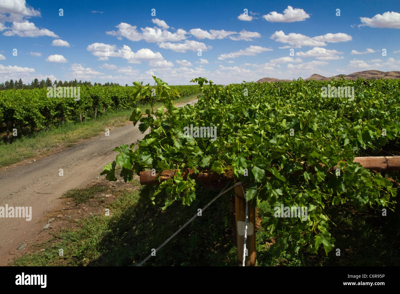 Orange river upington in northern hi-res stock photography and images ...