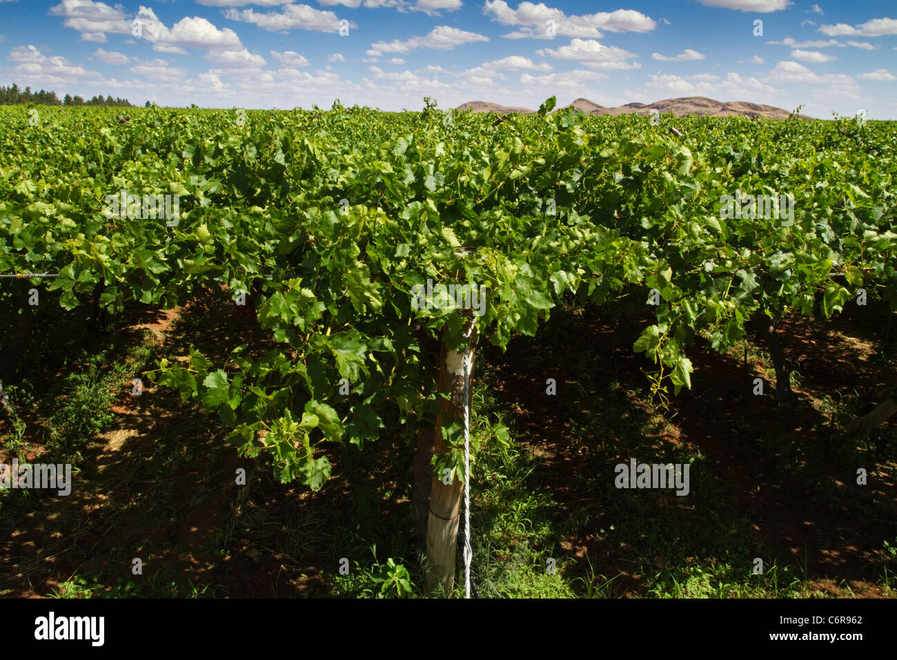 Orange river upington in northern hi-res stock photography and images ...