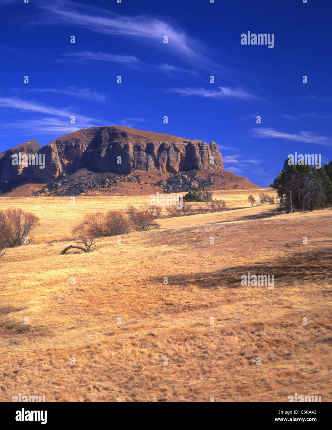Nelsons Kop, a prominent sandstone rock outcrop Stock Photo - Alamy