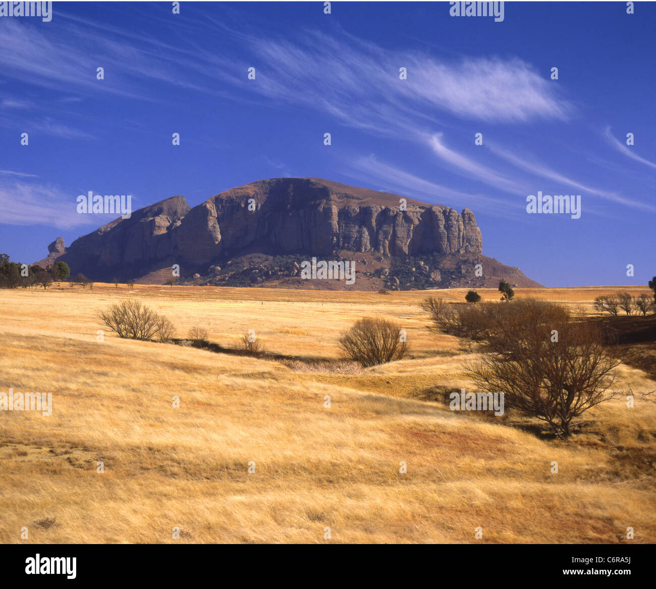 Nelson's Kop, a prominent sandstone rock outcrop, near Van Reenen's ...