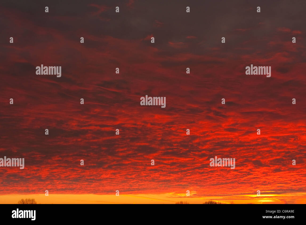 Red clouds lit by sun in winter time Stock Photo - Alamy