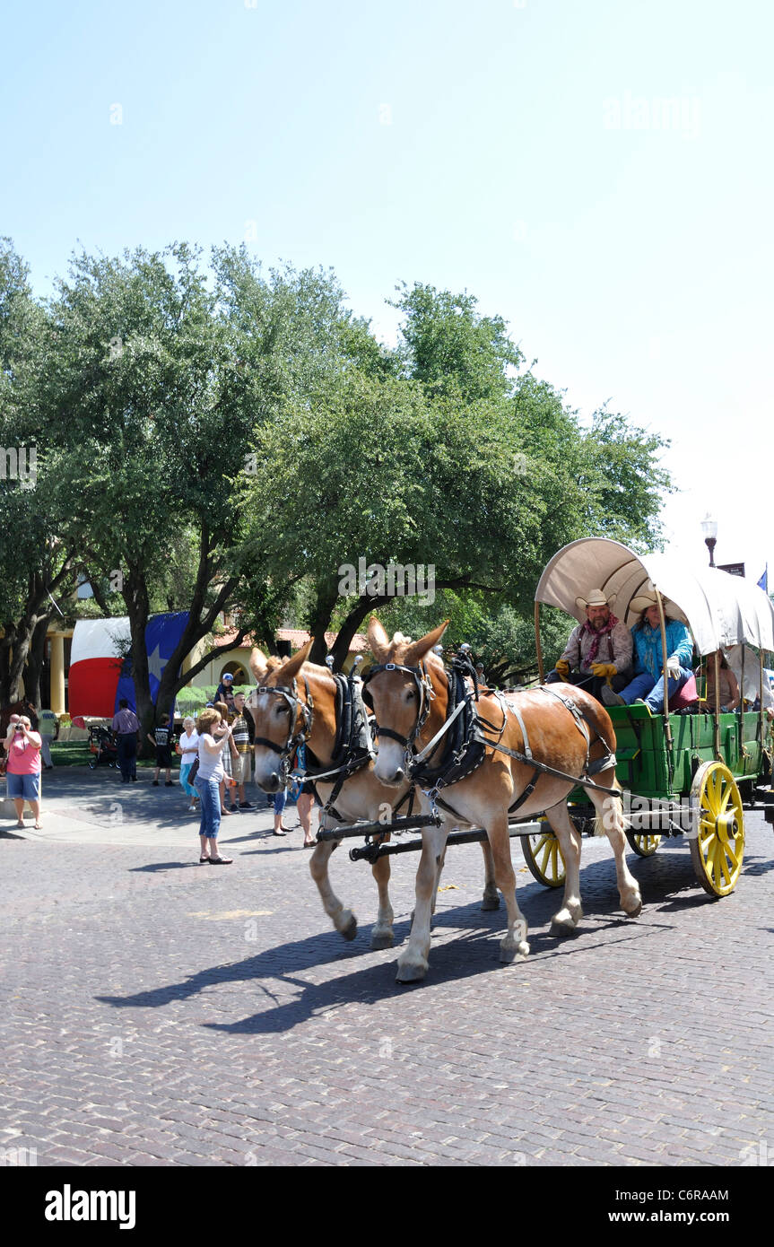 Parade, National Day of the American Cowboy, annual cowboy festival ...