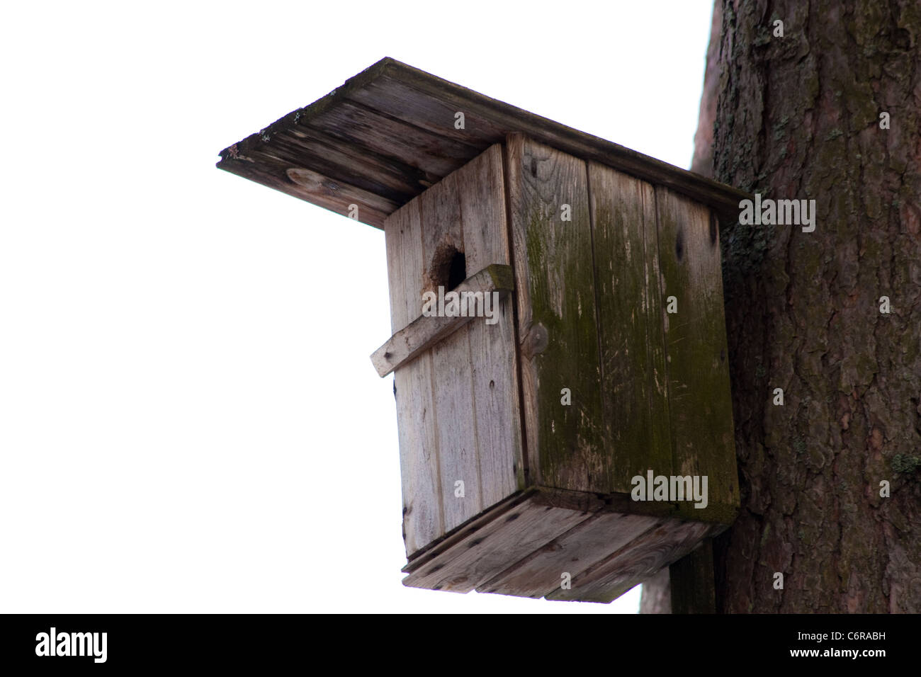 Cage hanging on tree hi-res stock photography and images - Alamy