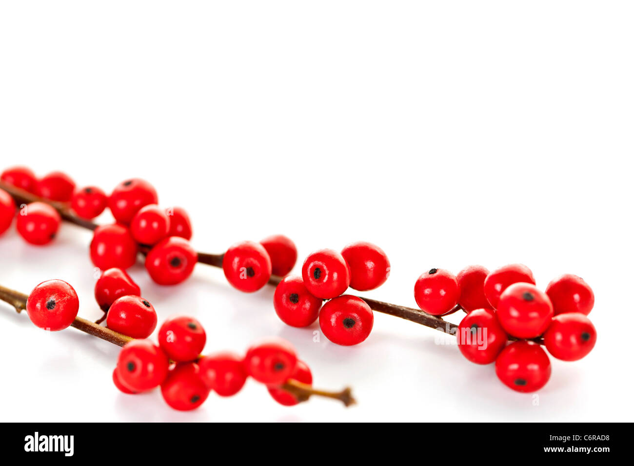 Red winterberry hi-res stock photography and images - Alamy