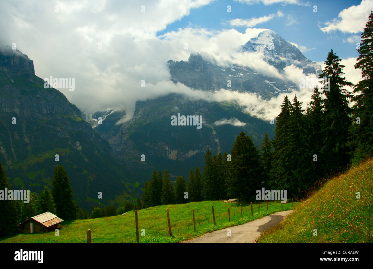 View on mountain in Switzerland Stock Photo - Alamy