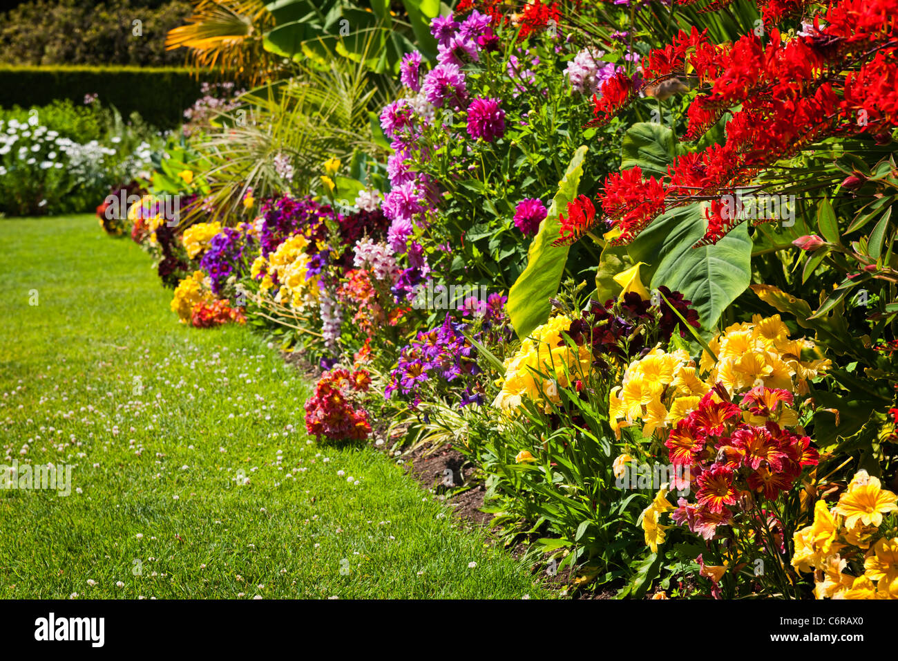 Beautiful bright colorful flower garden with various flowers Stock ...