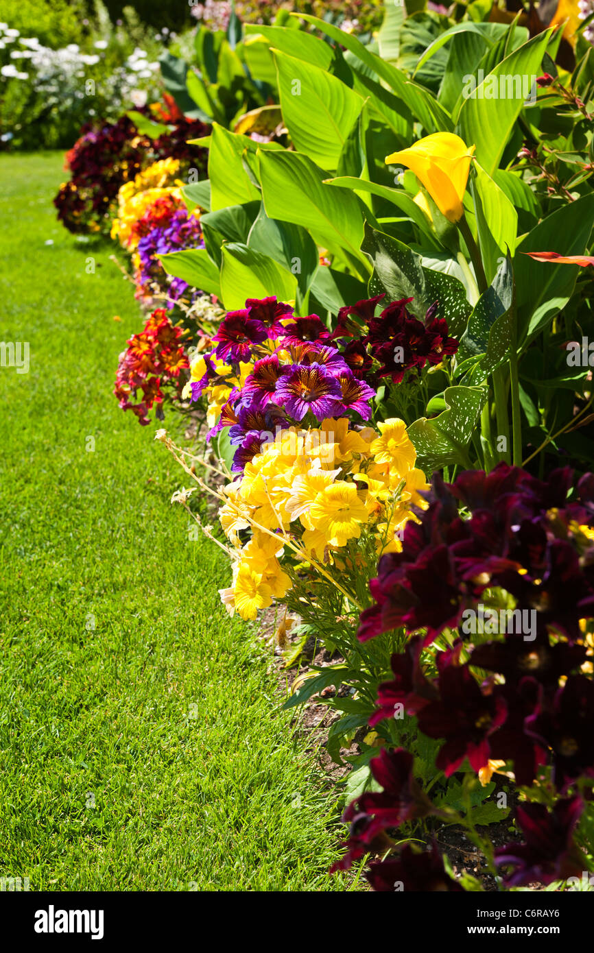 Beautiful bright colorful flower garden with various flowers Stock ...