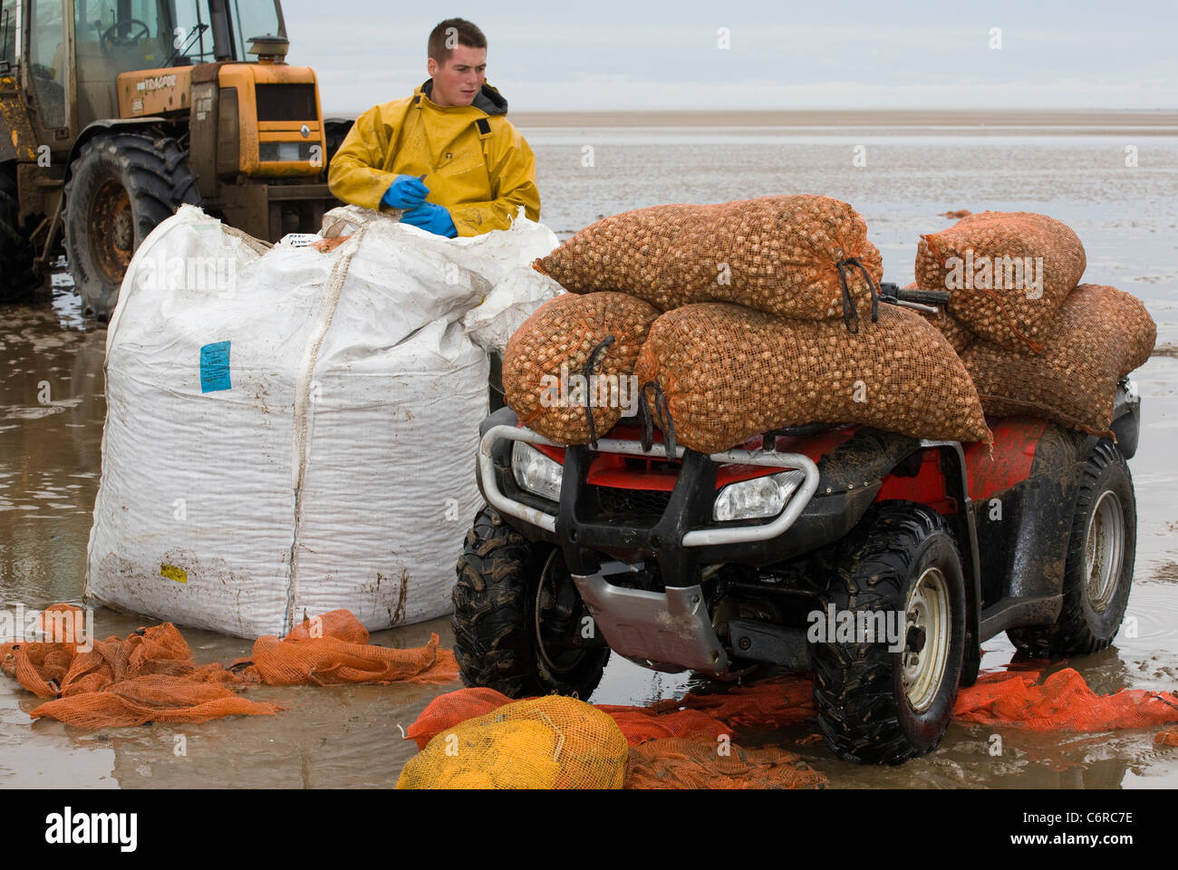 Adult atvs hi-res stock photography and images - Alamy