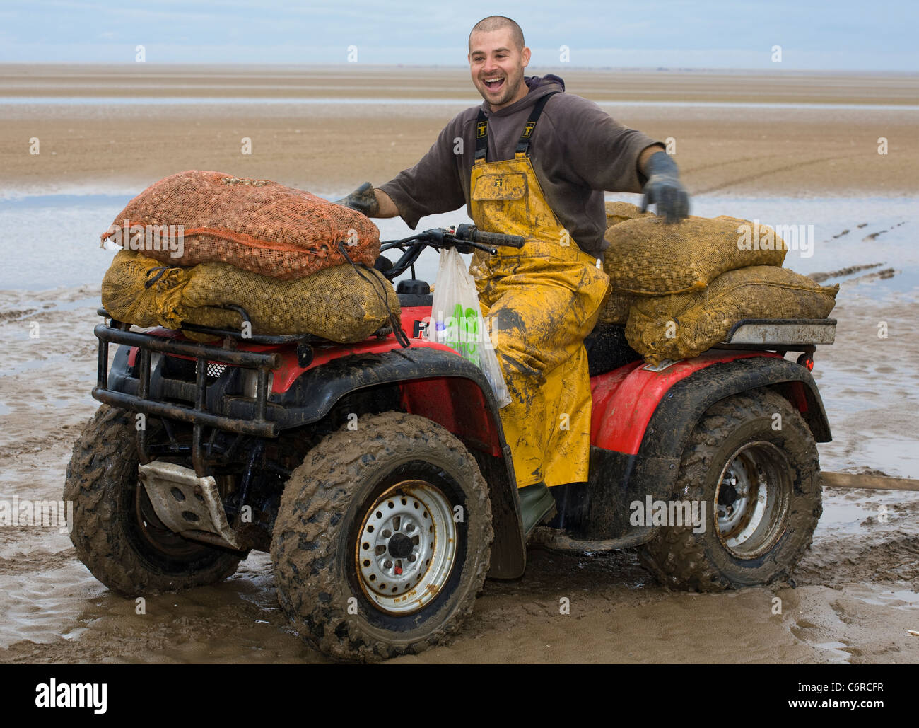 Cocklers collecting hi-res stock photography and images - Alamy