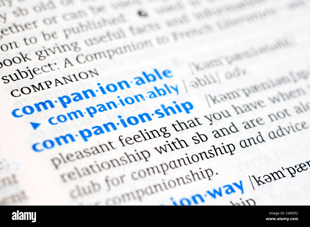 COMPANIONSHIP word closeup in dictionary Stock Photo - Alamy