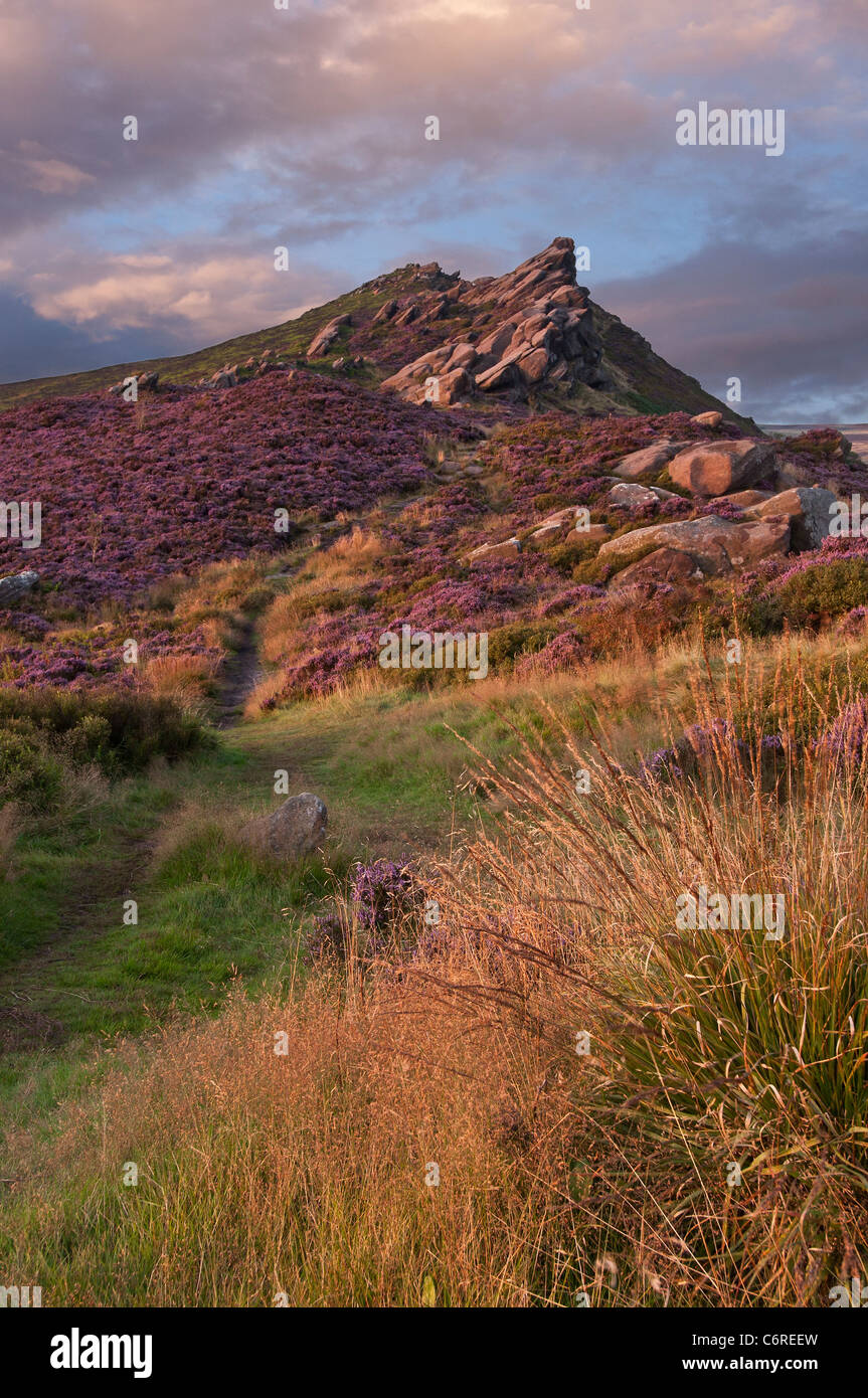 The Ramshaw Rocks illuminated by a September sunset Stock Photo - Alamy