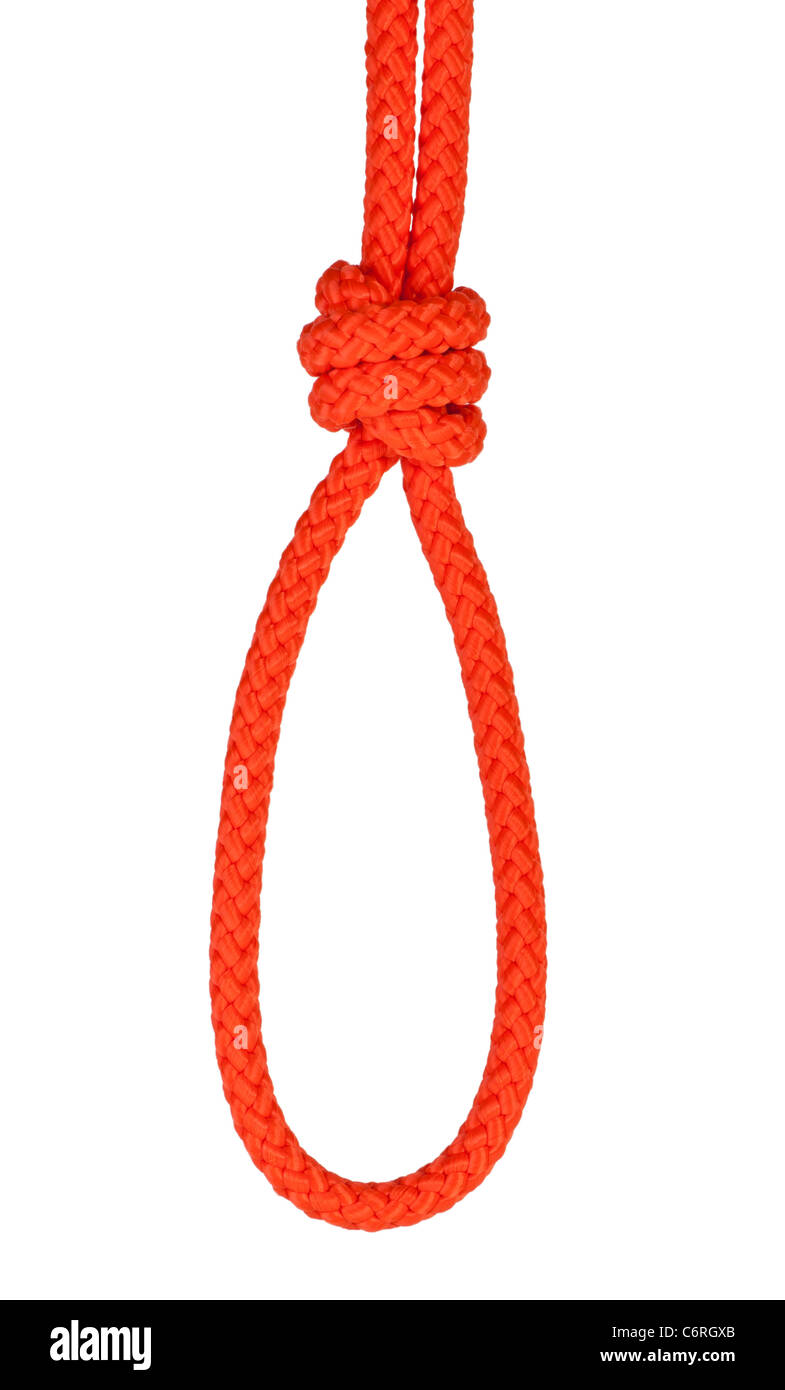 Noose isolated on white. Noose made of rope. Stock image Stock Photo ...