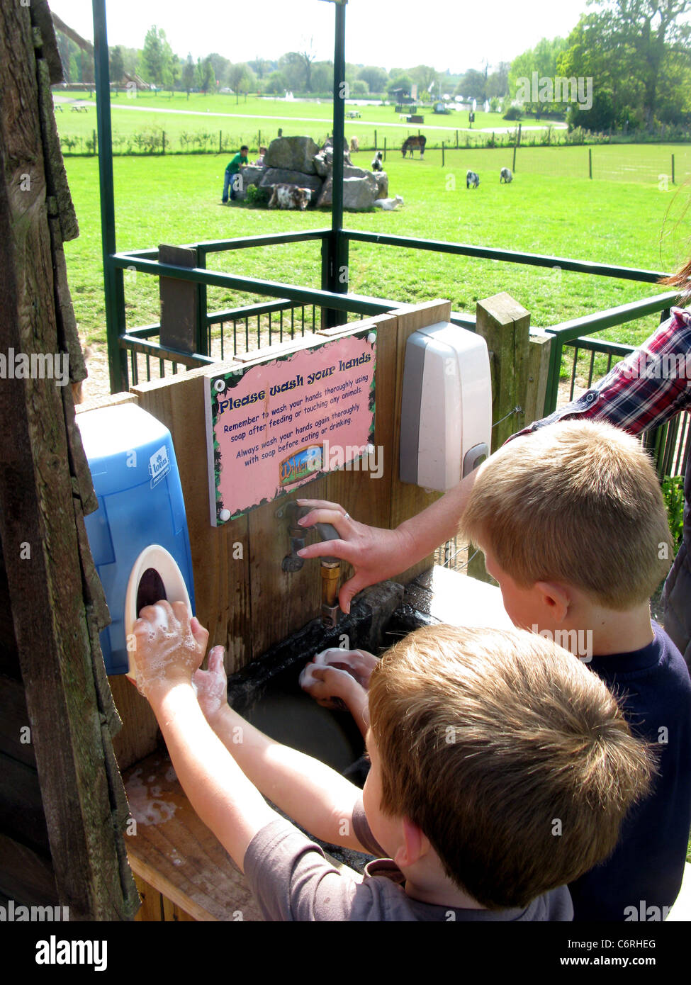 Touch animals hi-res stock photography and images - Alamy