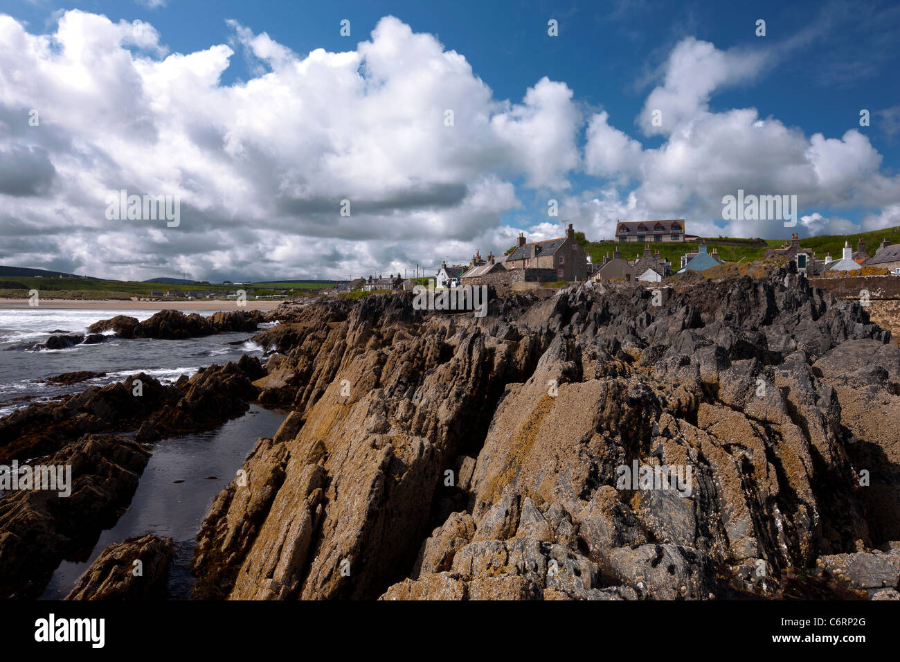 Graham peacock hi-res stock photography and images - Alamy