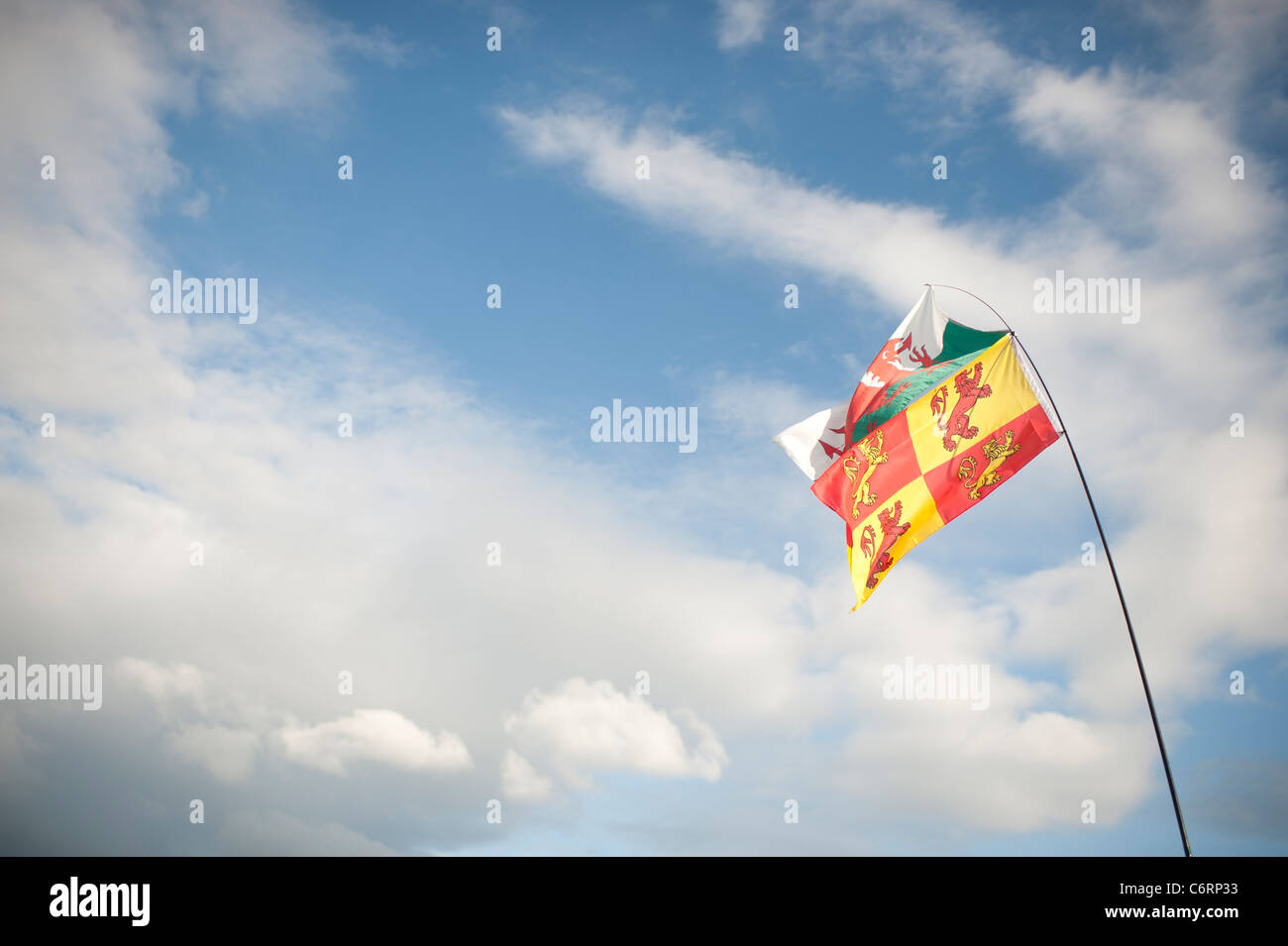 Welsh banners flags flying at The National Eisteddfod of Wales, Wrexham ...