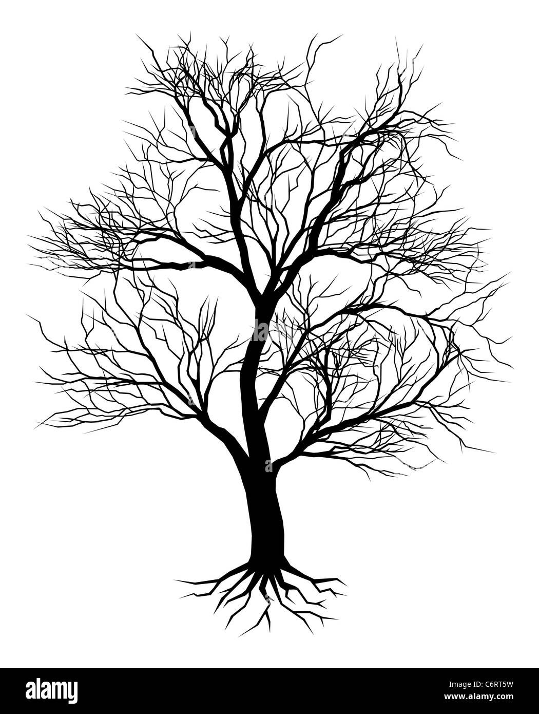A hand drawn old tree silhouette illustration Stock Photo - Alamy