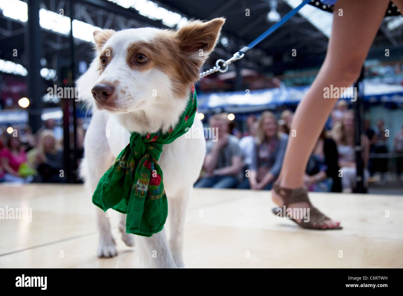 Paw Pageant dog show at Spitalfields Market, London. Local people enter ...